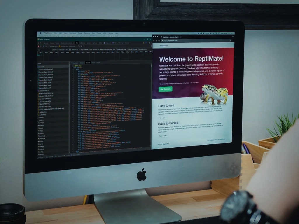 SEO JavaScript: Diferencia entre SSR y CSR